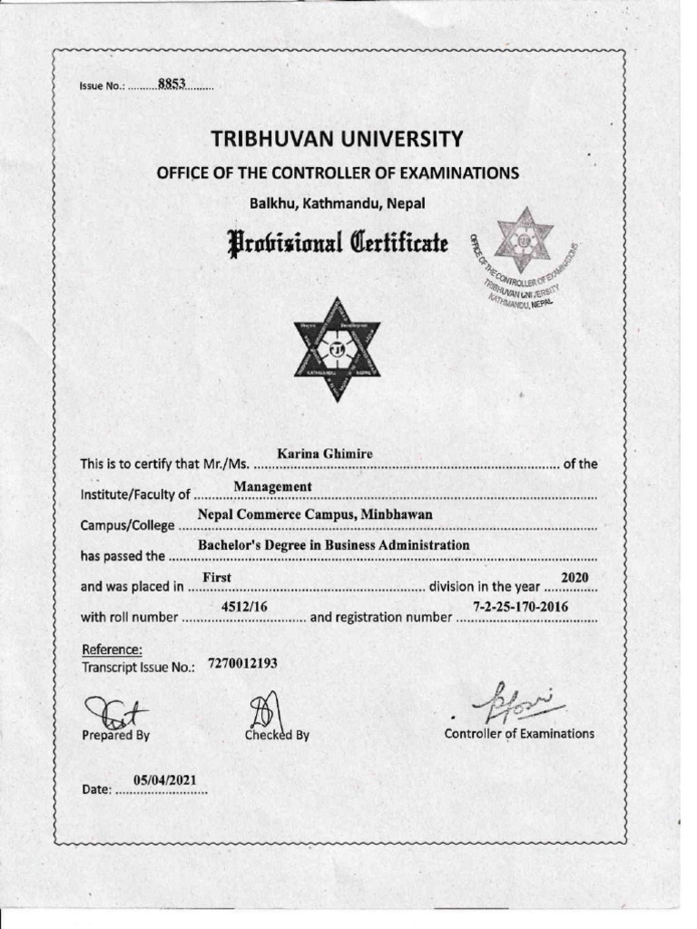 Karina Bachelor - Compressed | PDF