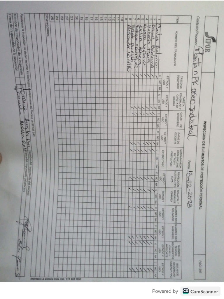 Inp. - EPP - NPK | PDF