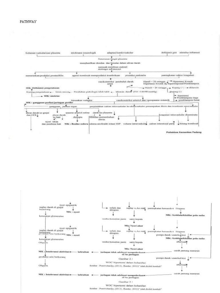 PATHWAY HT GESTASIONAL | PDF