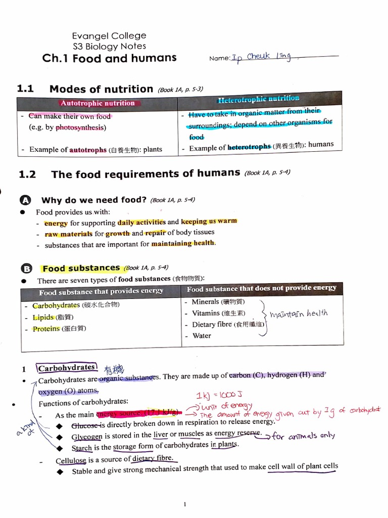 Biology Notes | PDF | Foods | Carbohydrates