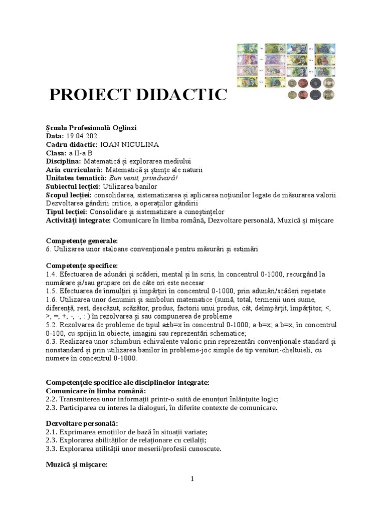 Proiect Mem Banii | PDF
