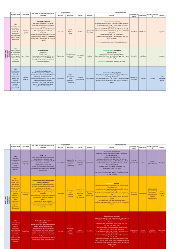 Esquema Das Superclasses - Sankaran | PDF