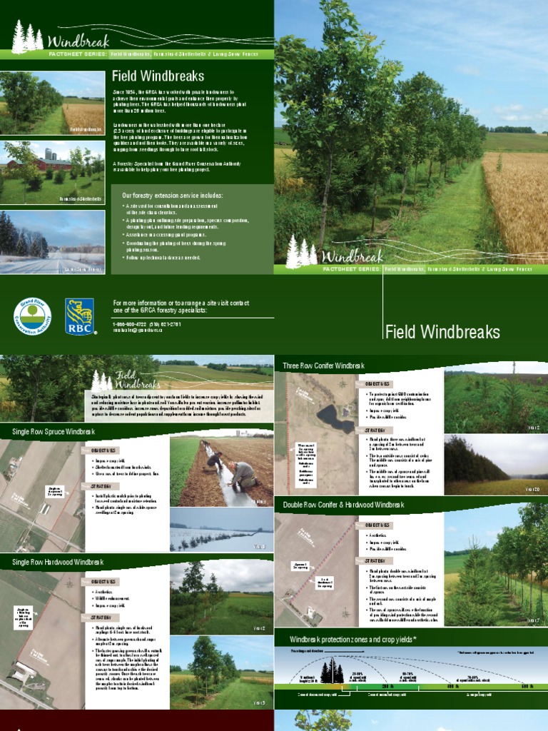 PDS GRCA Field Windbreaks | PDF | Trees | Wound