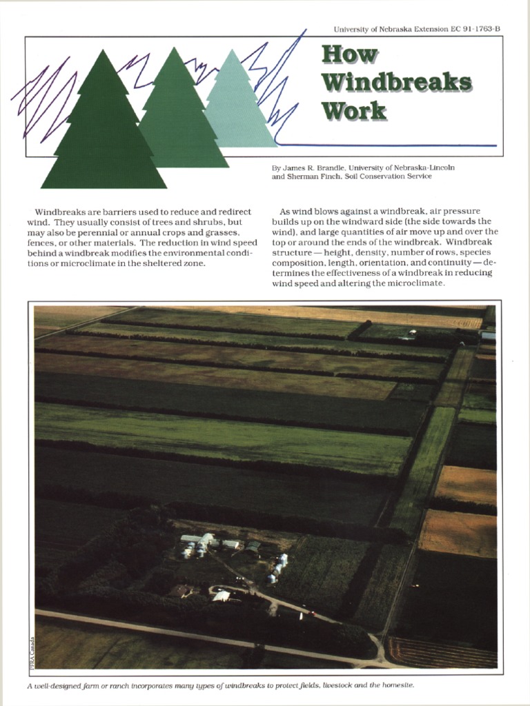 How Windbreaks Work | PDF
