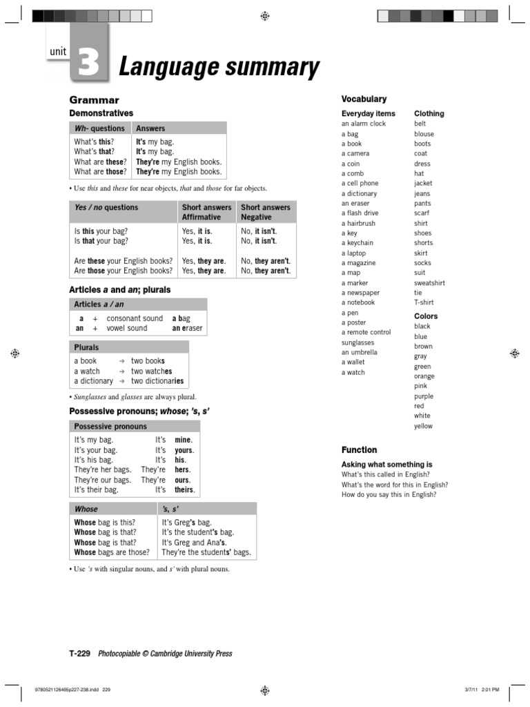 Language Summary Unit 3 | PDF | English Language | Plural