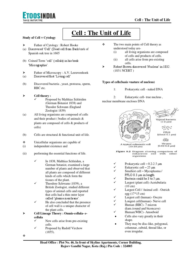 Overview of Cell Structure and Types | PDF | Endoplasmic Reticulum ...