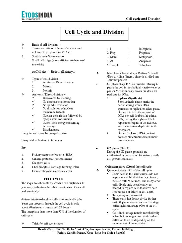 Notes-Cell Cycle and Cell Division New | PDF | Meiosis | Mitosis