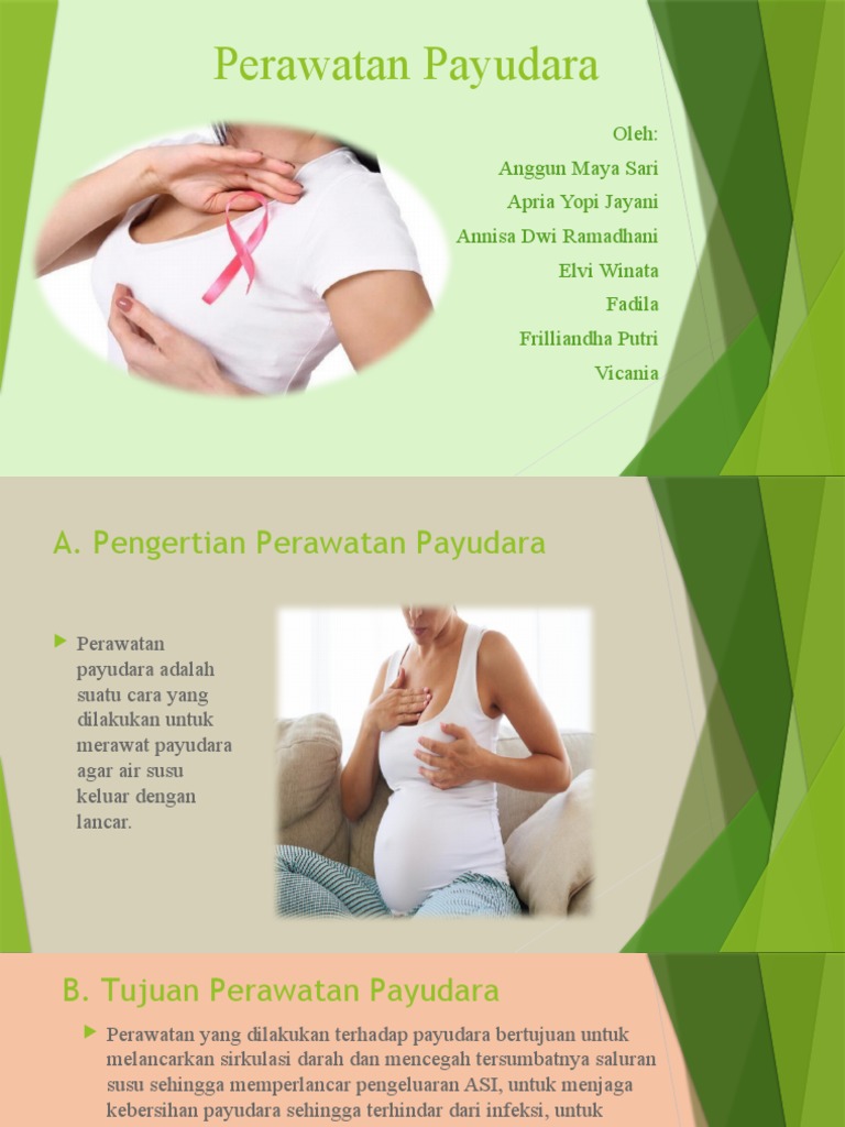 Panduan Perawatan Payudara untuk Ibu | PDF