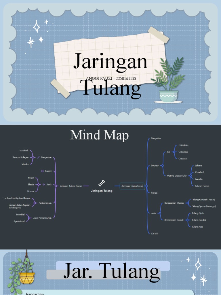 Mind Map Jaringan Tulang Anggi | PDF