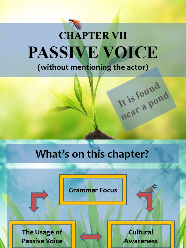 PASSIVE VOICE For Senior High School Student | PDF | Ant | Pulp (Paper)