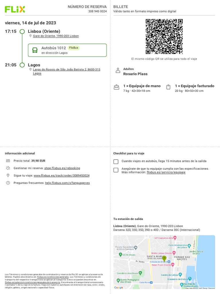 Ticket Lisbon Lagos 3089450024 | PDF