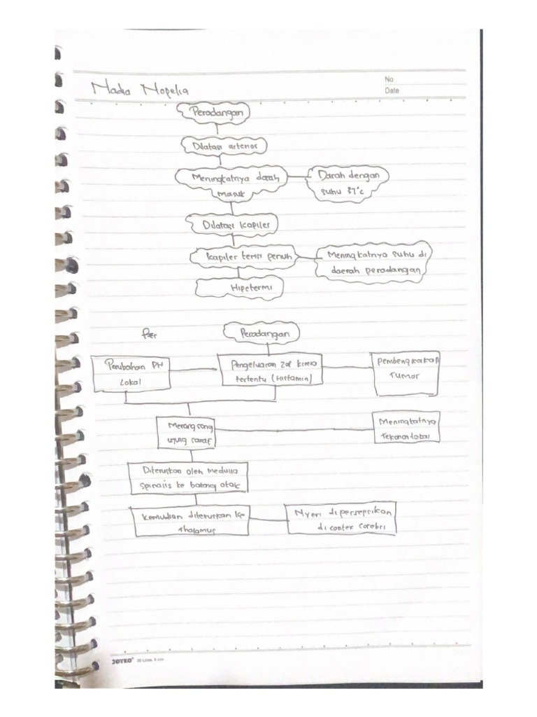 Pathway Peradangan | PDF