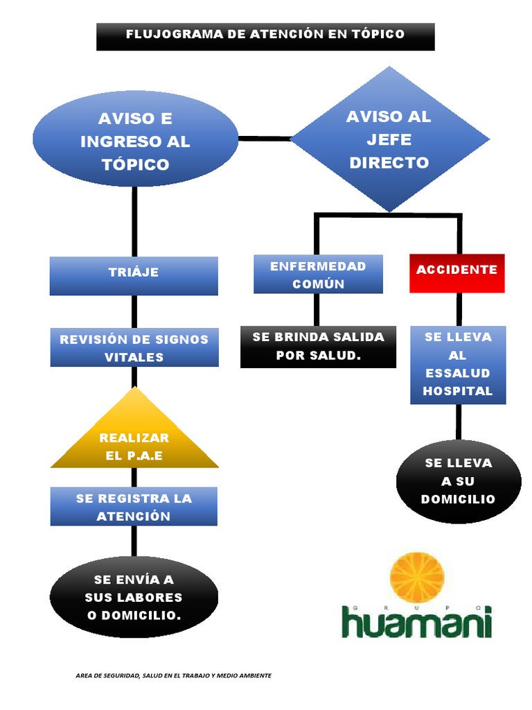 Flujograma de Topico - PDF - HUAMANI | PDF