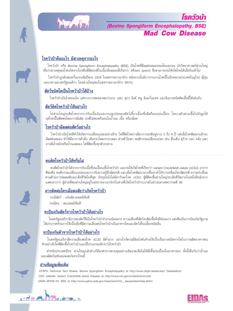 Bovine Spongiform Encephalopathy, BSE | PDF | Diseases And Disorders ...