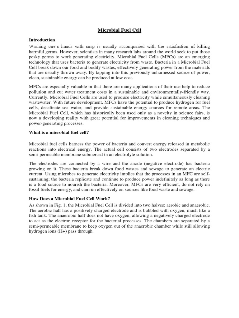 Microbial Fuel Cells: Sustainable Energy Solutions | PDF | Fuel Cell ...