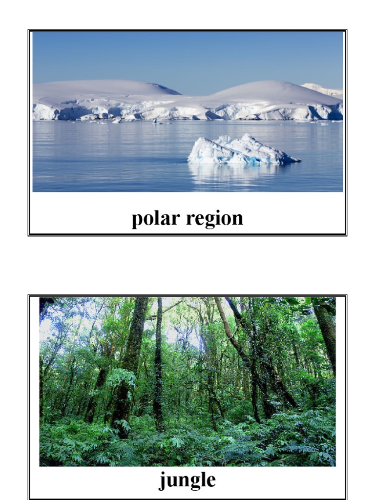 Habitat Unit 6 Year 2 | PDF