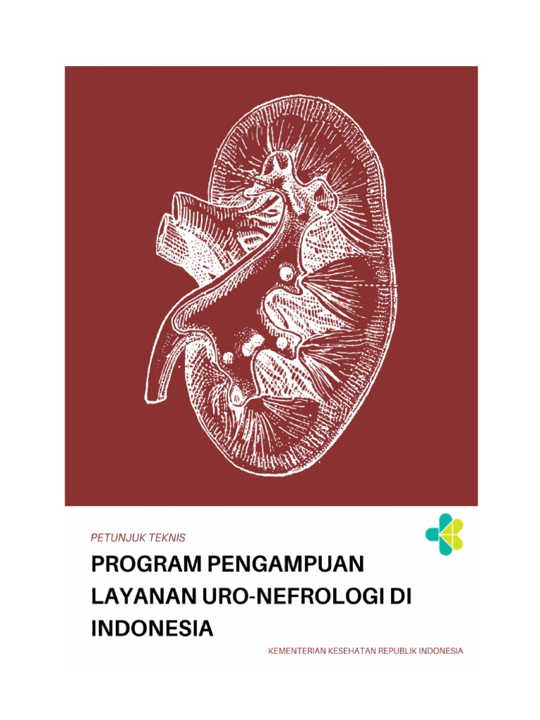 Buku Petunjuk Teknis Program Pengampuan Uro-Nefrologi Di Indonesia | PDF