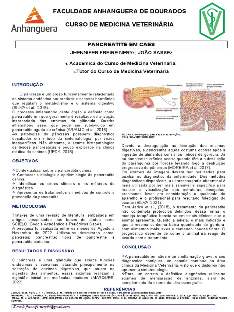 Modelo Banner Tcc II Correto | PDF