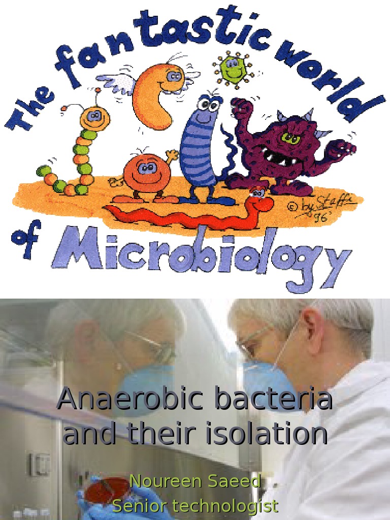 Anaerobic Bacteria | PDF | Growth Medium | Infection