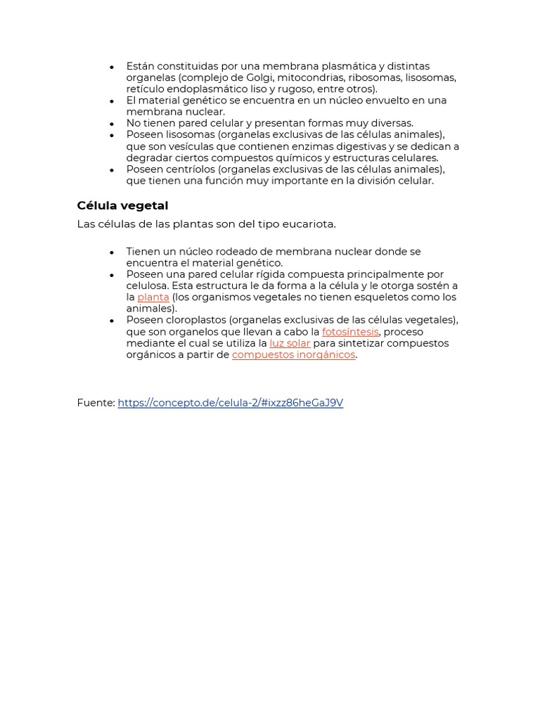 Celula Vegetal | PDF | Hogar, jardinería y bricolaje | Salud y bienestar