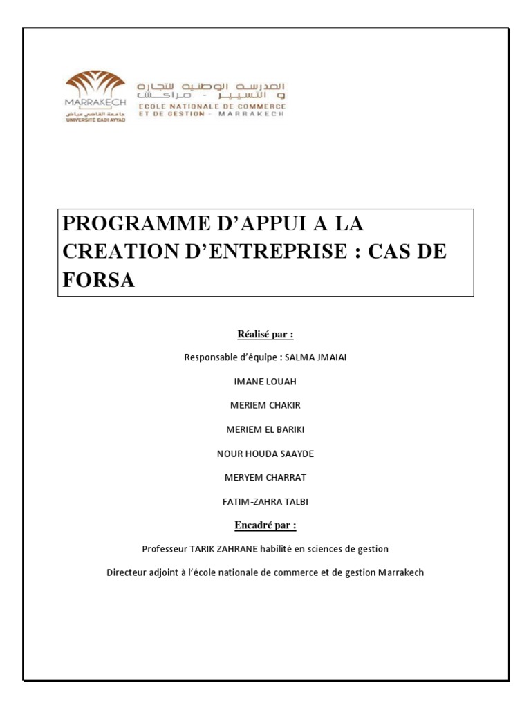 Programme FORSA : Soutien à l'Entrepreneuriat | PDF | Entrepreneuriat ...