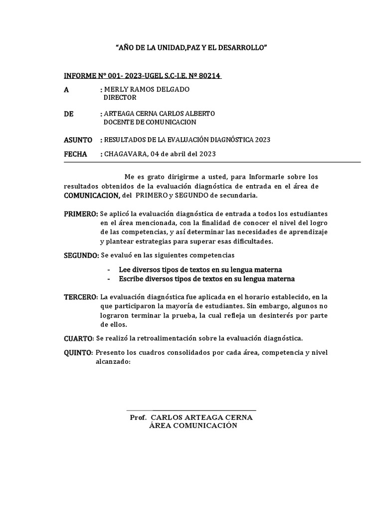 Informe de Evaluacion Diagnostica - 1ero y 2do Secundaria | PDF
