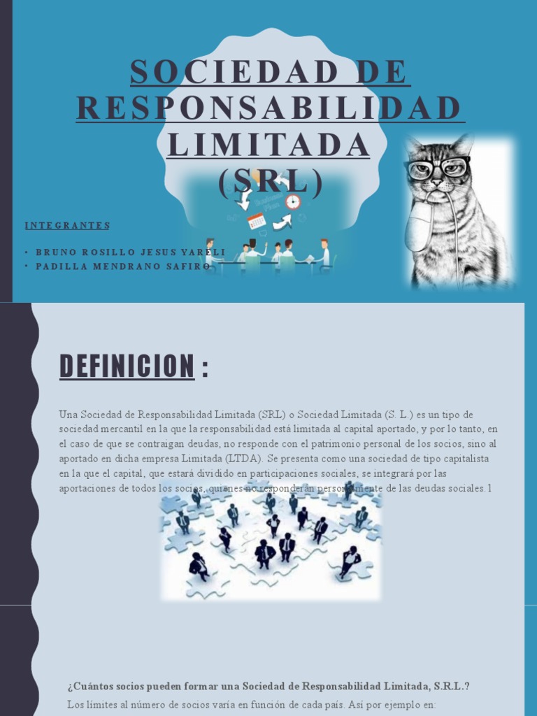 Sociedad de responsabilidad limitada | PDF | Business | Economias