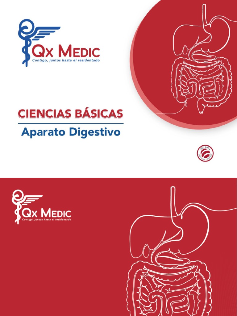 Aparato Digestivo CIENCIAS BASICAS | PDF