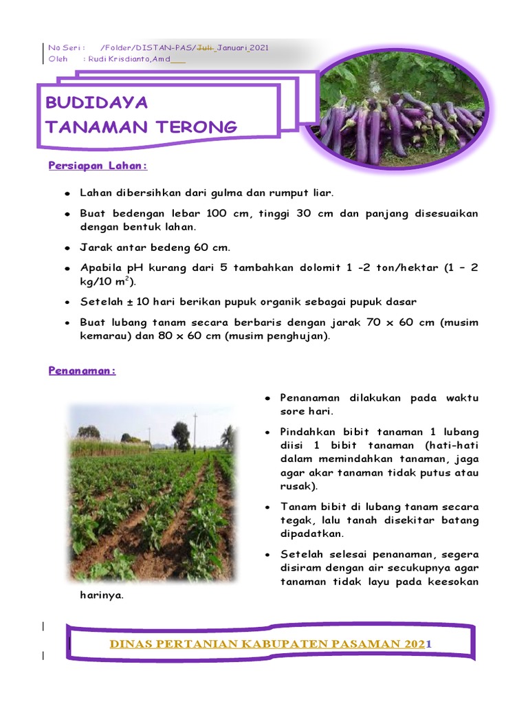 Budidaya Tanaman Terong | PDF