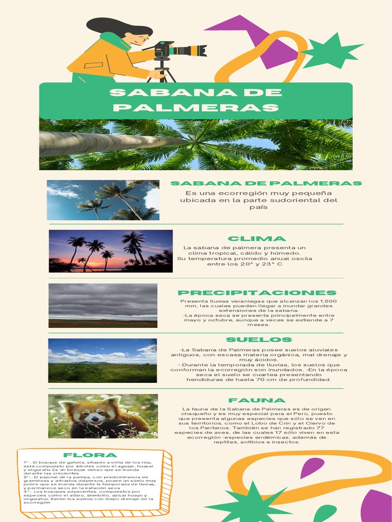 Sabana de Palmeras | PDF | Sabana | Temporada húmeda