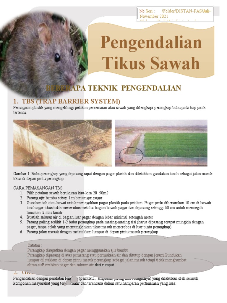 Pengendalian Tikus Sawah | PDF