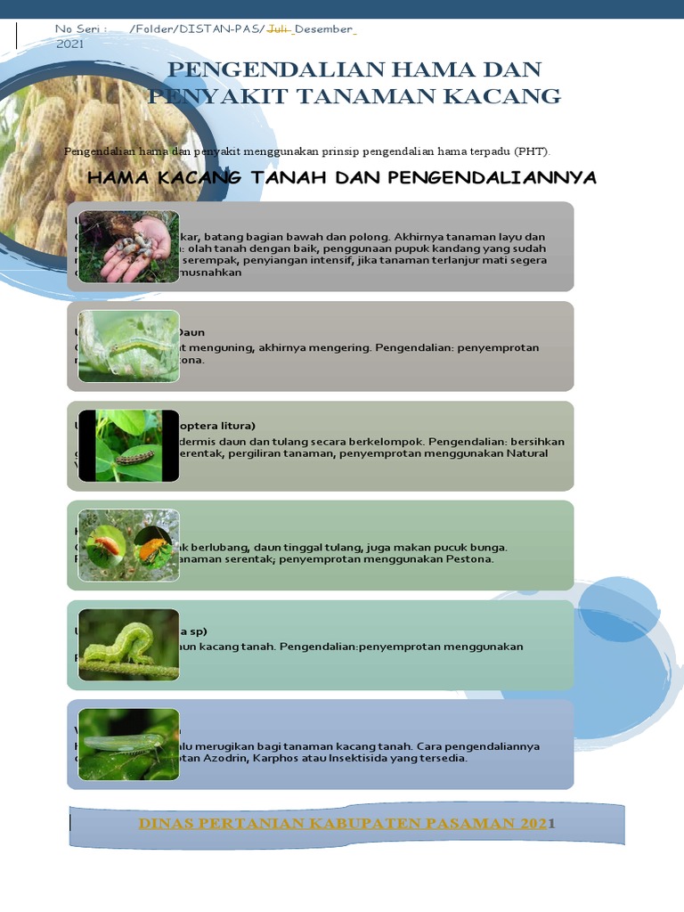 Hama Kacang Tanah | PDF