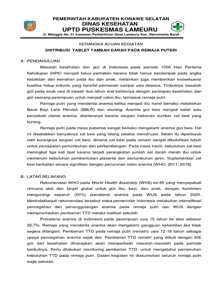 KAK Distribusi Tablet Fe Remaja Putri | PDF
