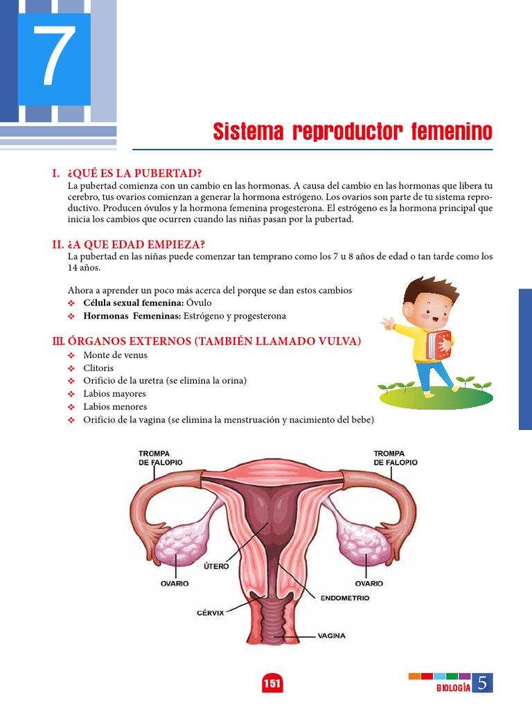 Ficha 7 - Sistema Reproductor Femenino | PDF