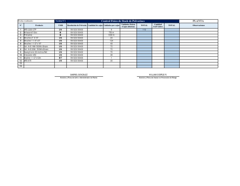 Planilla manual Control Físico de Stock DLN | PDF
