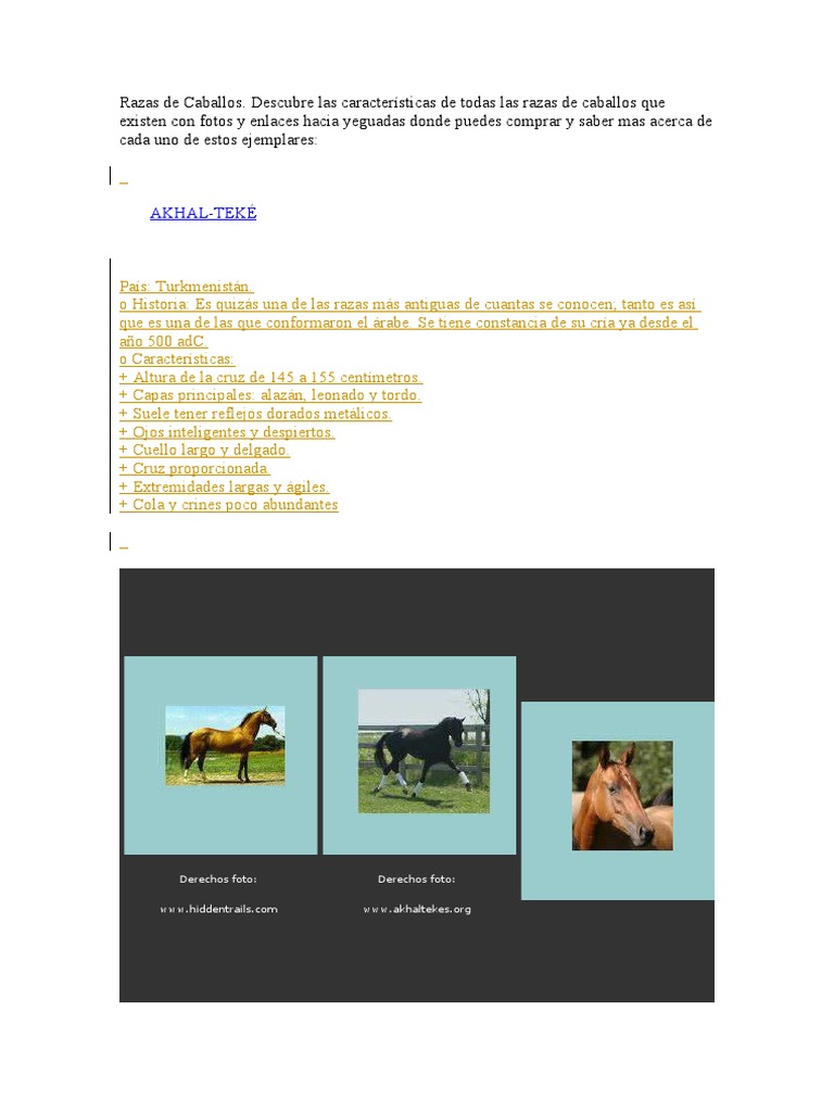 Razas de Caballos | PDF