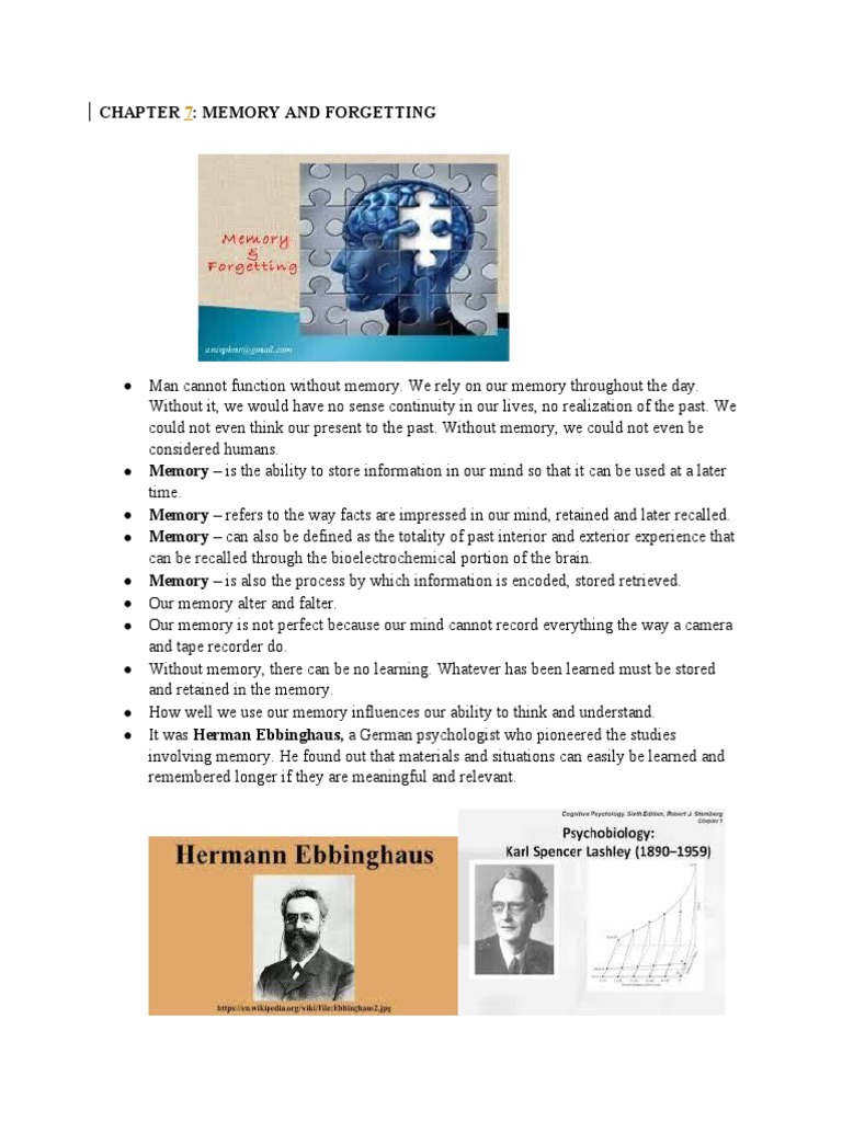 MEMORY AND FORGETTING Chapter 7 | PDF | Memory | Recall (Memory)