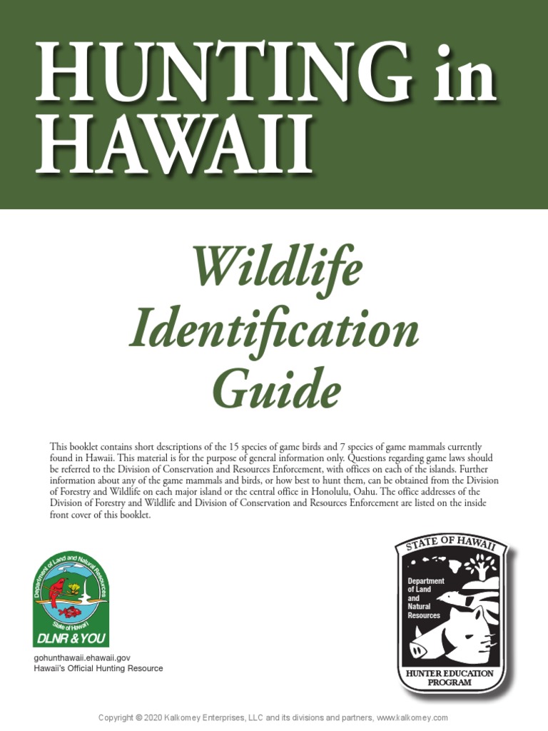 Wildlife Id Guide | PDF | Sheep | Deer