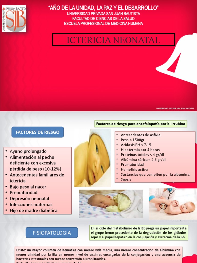 Ictericia Neonatal | PDF