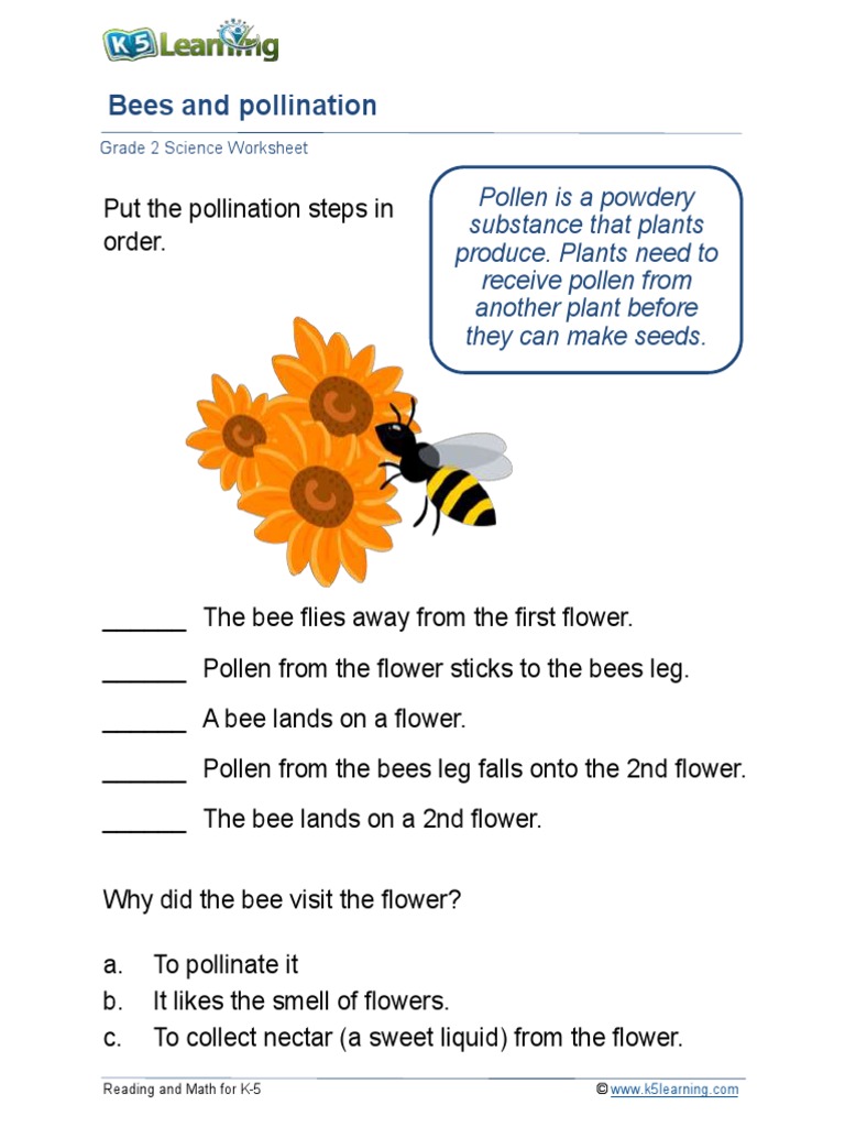 Grade 2 Pollination B | PDF