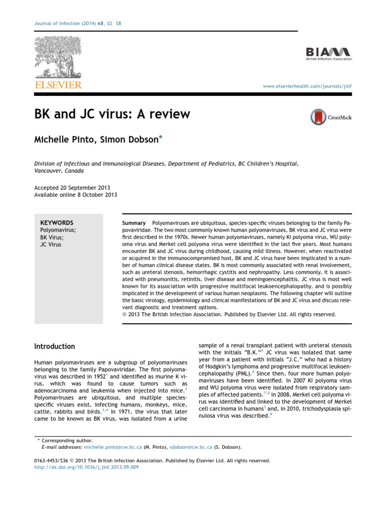 BK and JC Virus Overview and Impact | PDF | Medical Specialties ...