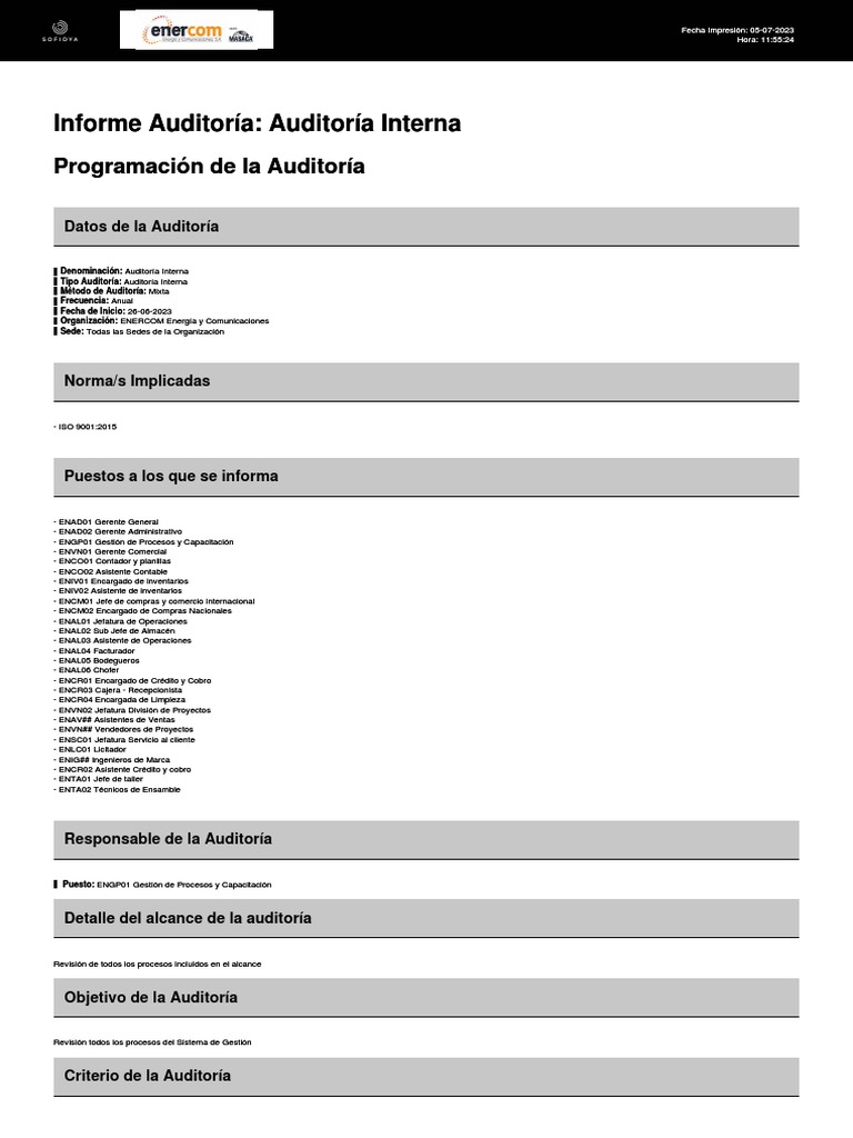 Fichas Informe Auditorias | PDF | Auditoría | Contralor