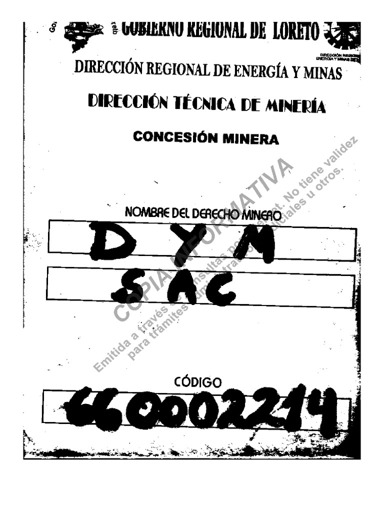 Expediente Concesion Dym | PDF