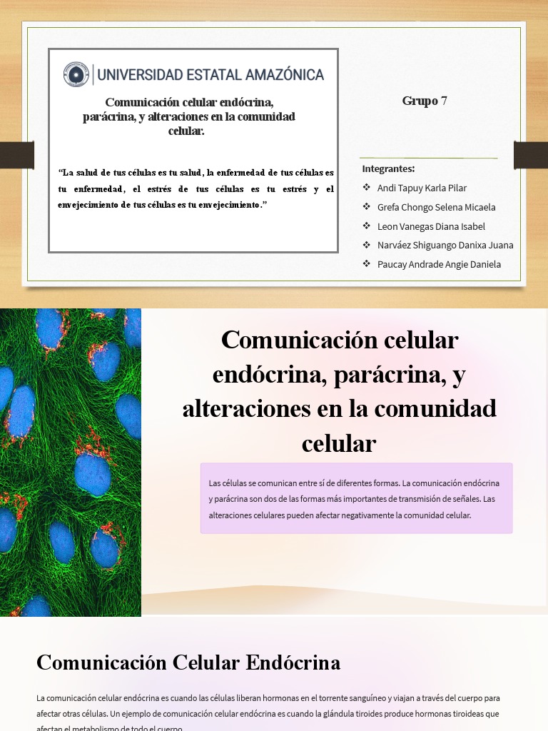 Comunicación Celular | PDF | Sistema endocrino | Hormona