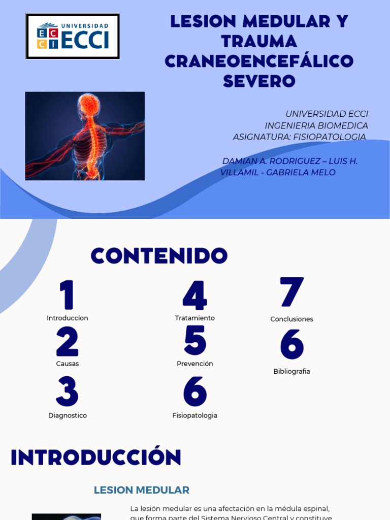 Lesión Medular y Trauma Craneoncefalico Severo-1 | Descargar gratis PDF ...