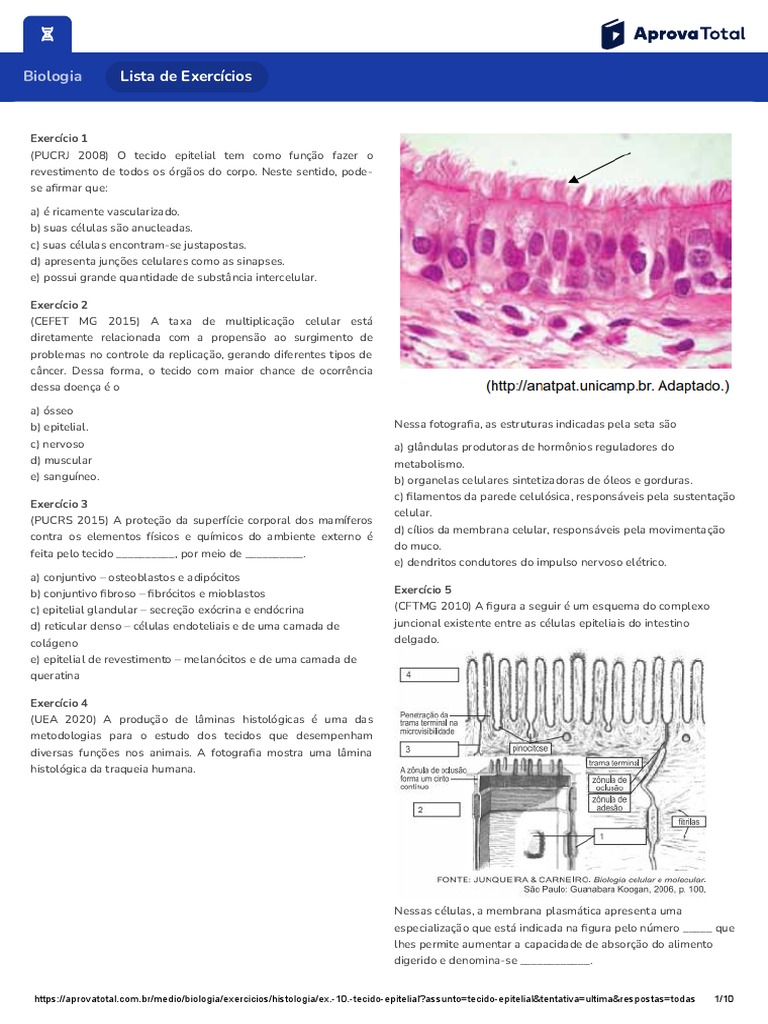 Ex. 10. Tecido Epitelial - Aprova Total | PDF