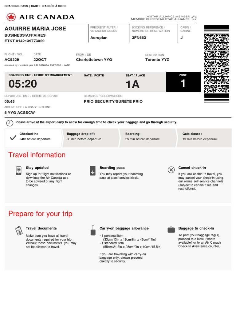 Boarding Pass | PDF
