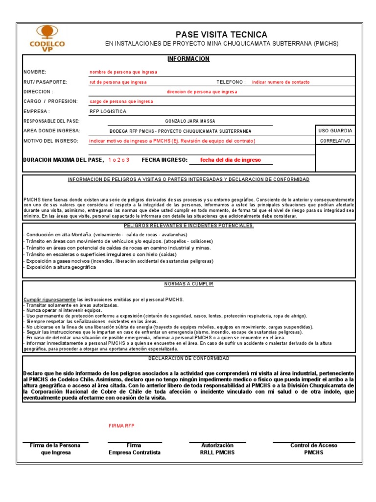 Formato Pase Visita Técnica | PDF
