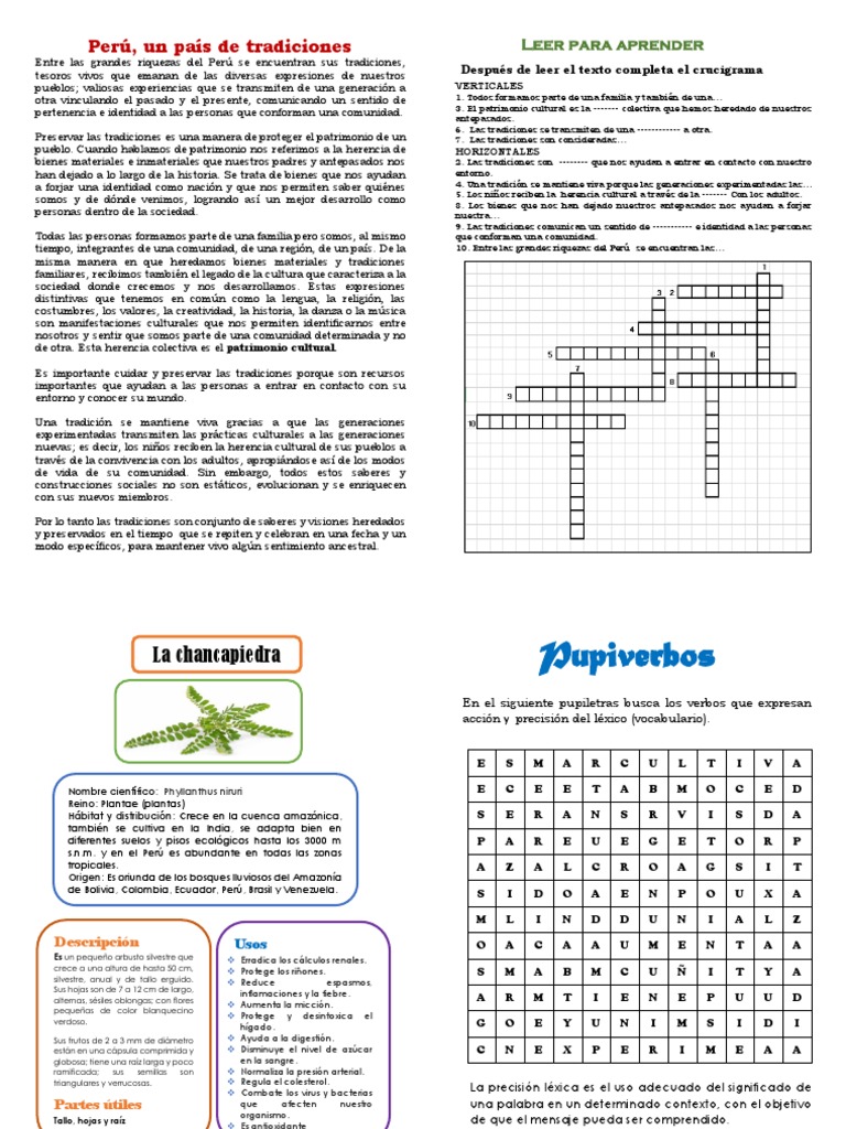 PLAN LECTOR Lecturas Con Actividades | Descargar gratis PDF | Tradiciones