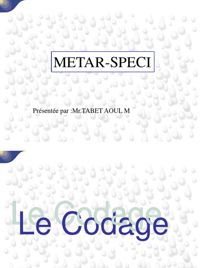 Metar Speci | PDF